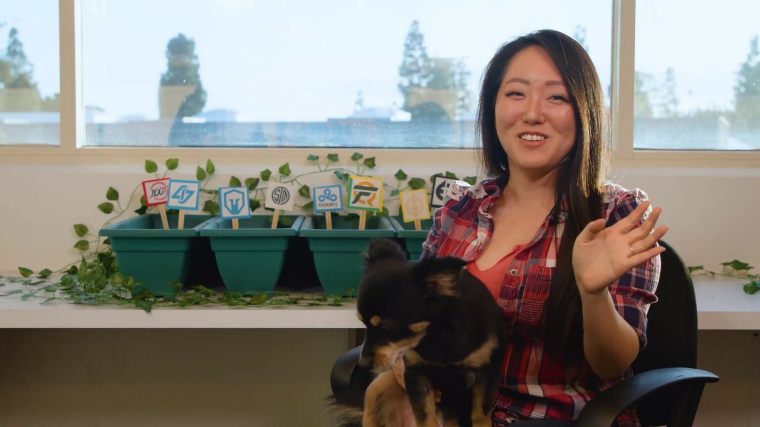 FlyQuest chose a unique flower to represent each team in the LCS for ...