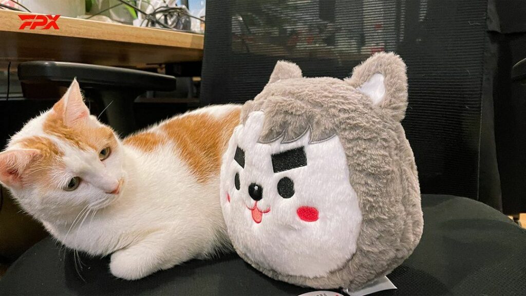 5 adorable pets belonging to our favorite esports players | ONE Esports