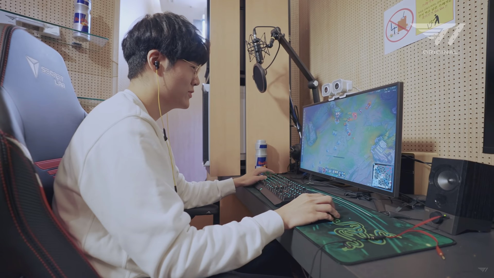 A day in the life of KDF Teddy, who sleeps for just five hours a day ...