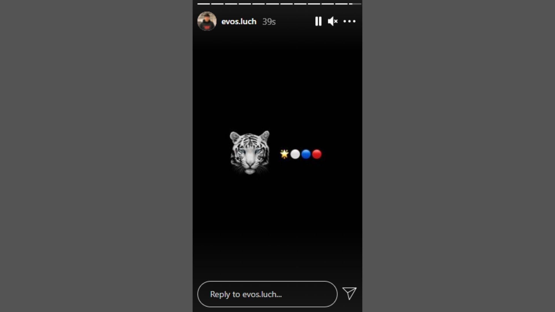 Is EVOS PH back? Luch and Zeys hint at return to the Philippines | ONE ...