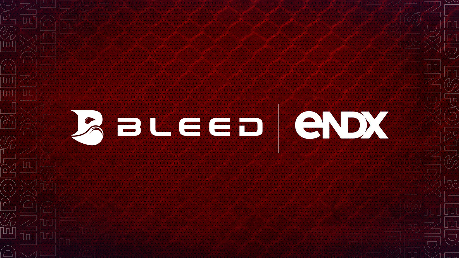 Bleed Esports teams up with Zowie, Kick, eNDX for 2024 | ONE Esports