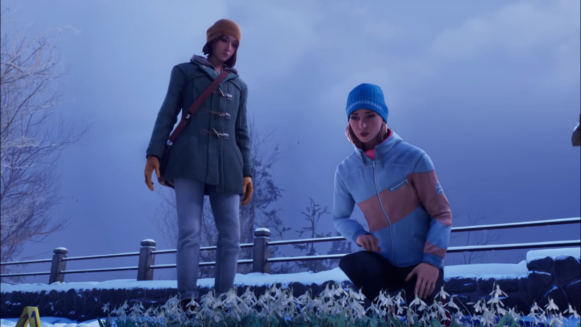 Life Is Strange Double Exposure release date & content 2024 | ONE Esports
