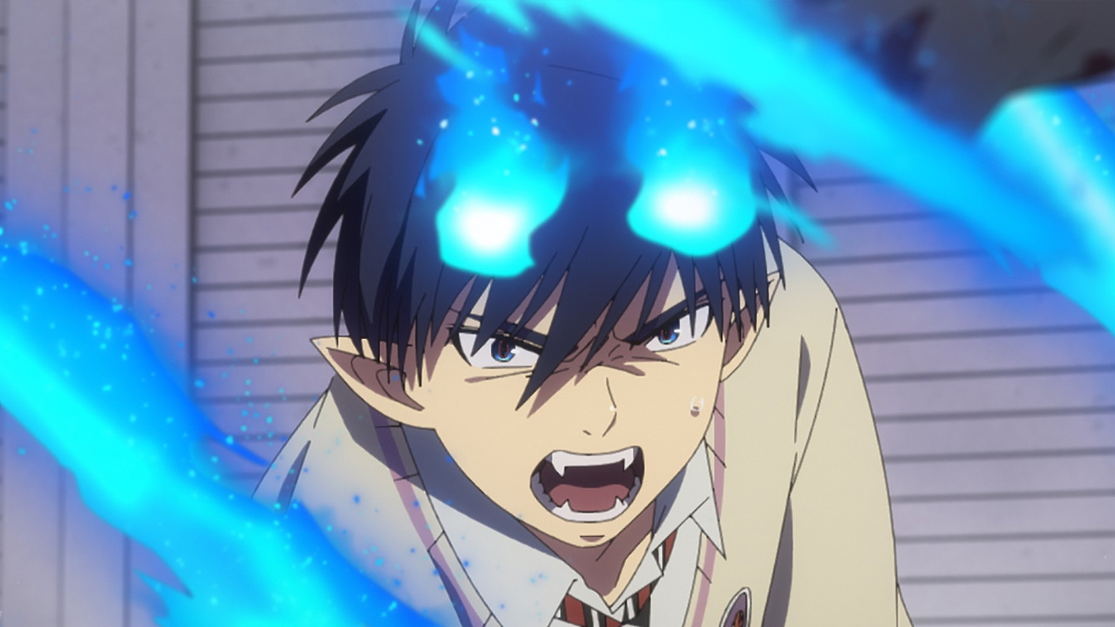 Blue Exorcist watch order — all seasons and movies | ONE Esports