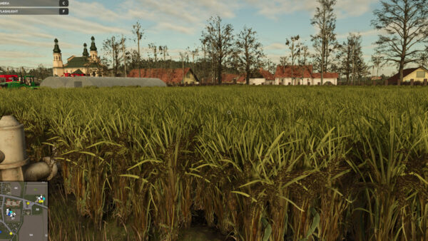 How to grow rice and long grain rice in Farming Simulator 25 | ONE Esports